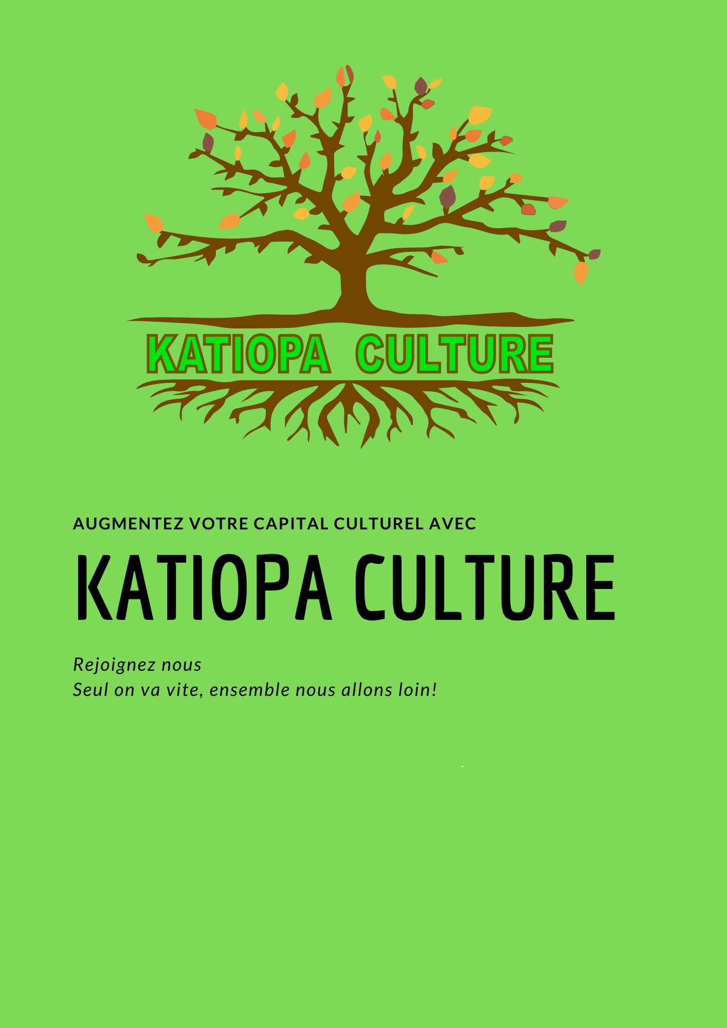 Association Katiopa Culture